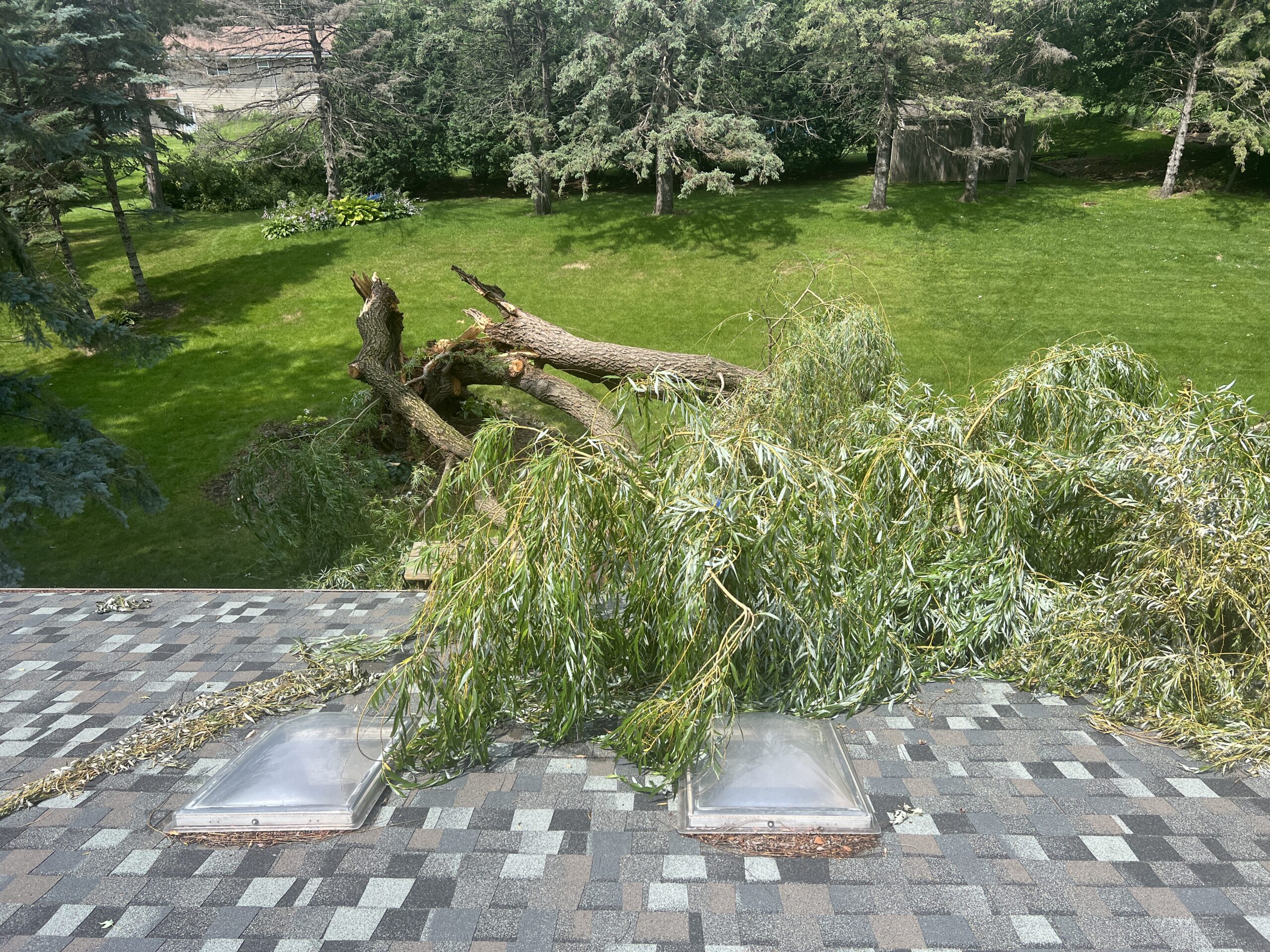 Damages Caused by Wind | Shelter Construction LLC